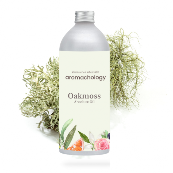 Oakmoss Absolute Oil - Essential Oil Wholesaler