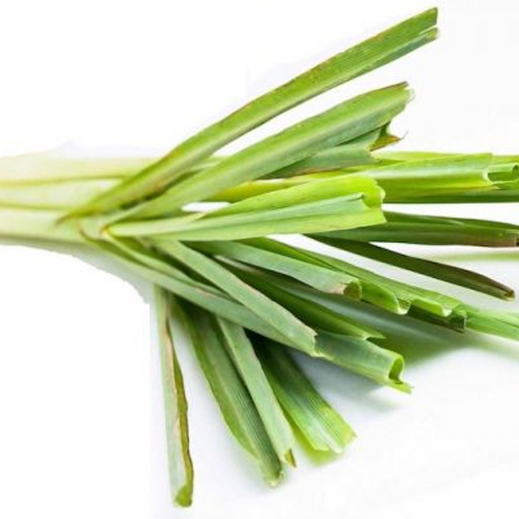 Palmarosa Essential Oil - Essential Oil Wholesaler